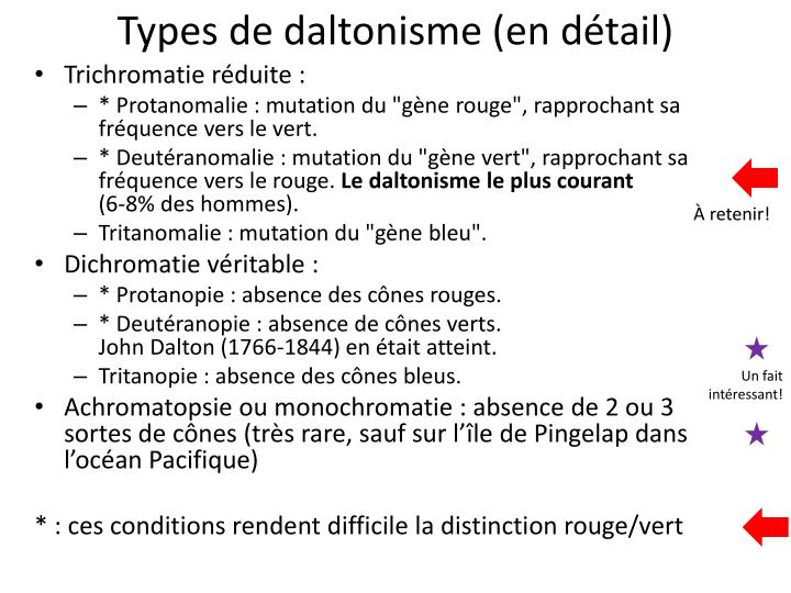 PPT - La perception visuelle et le graphisme PowerPoint Presentation ...
