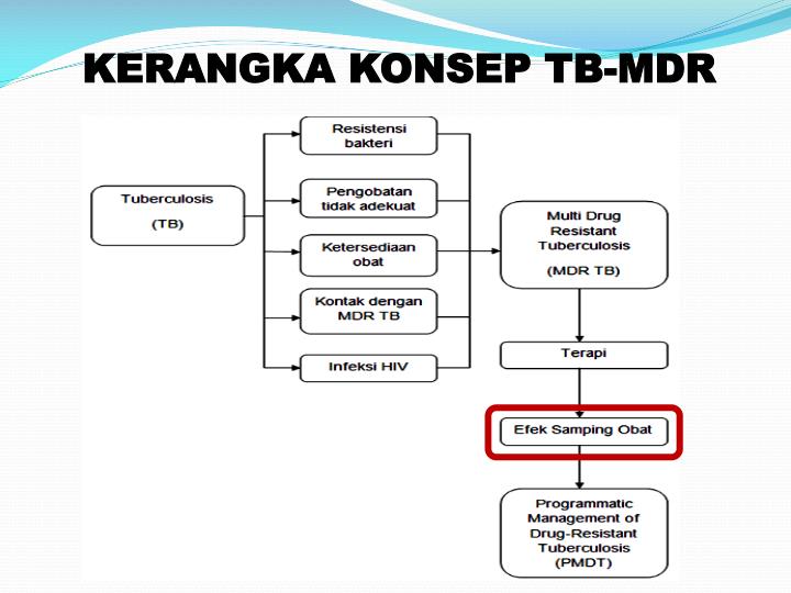 PPT - EFEK SAMPING OBAT PADA PASIEN TB-MDR (Multi Drug Resistant) di ...