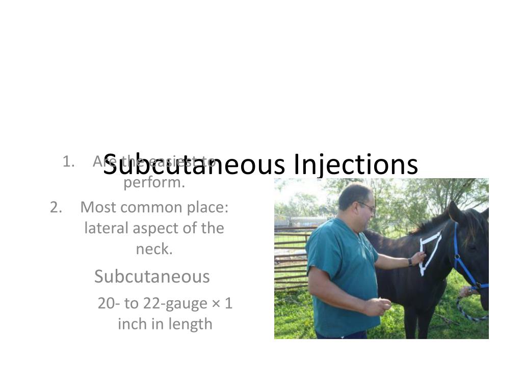 PPT - Insert the needle about 1 to 2 inches caudal to the skin pinch ...