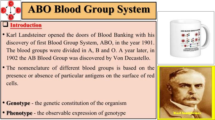 PPT - Principles of Immunohematology PowerPoint Presentation - ID:1946683