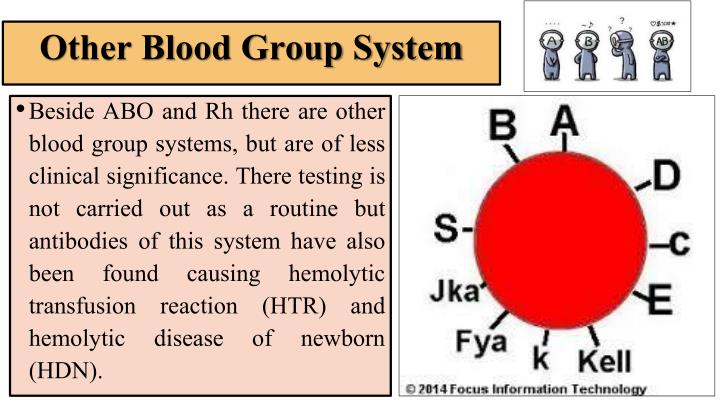 PPT - Principles of Immunohematology PowerPoint Presentation - ID:1946683