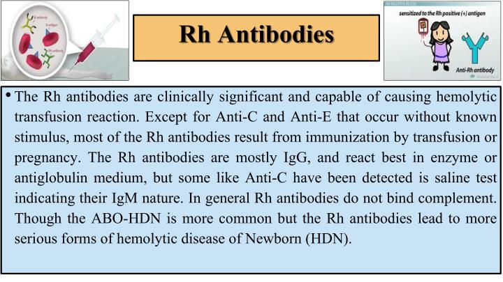 PPT - Principles of Immunohematology PowerPoint Presentation - ID:1946683