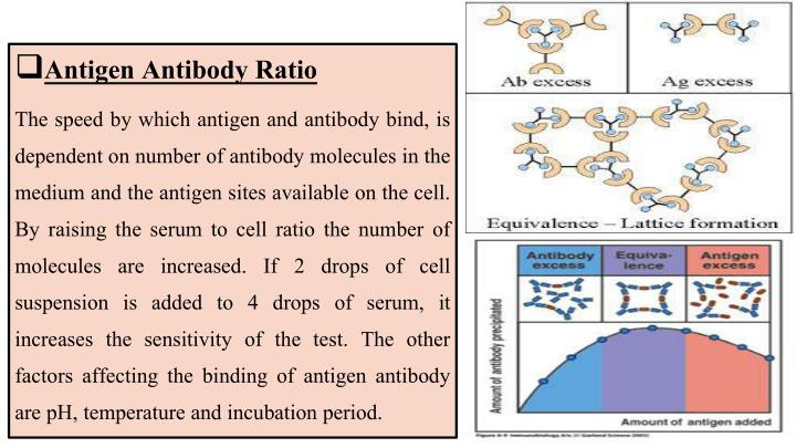 PPT - Principles of Immunohematology PowerPoint Presentation - ID:1946683