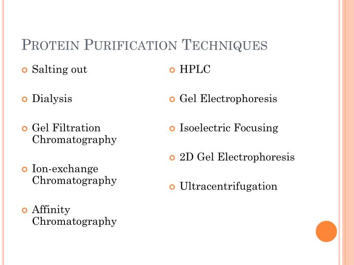PPT - Exploring Proteins and Proteomes PowerPoint Presentation - ID:1946789