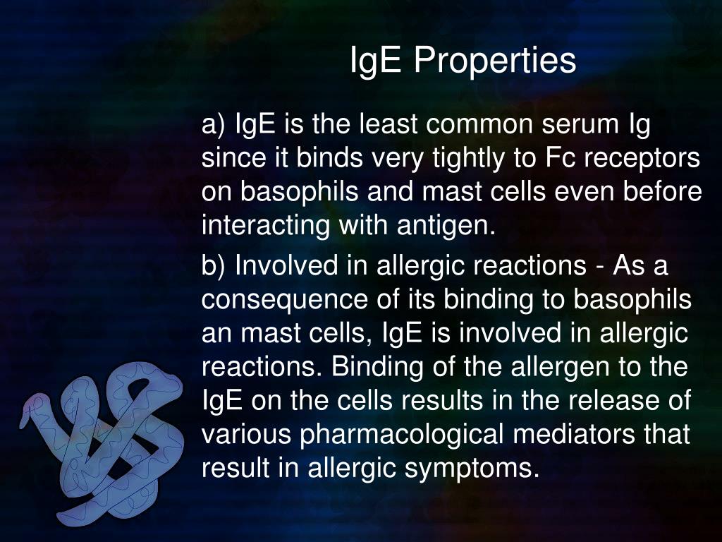 PPT - Immunoglobulin and Monoclonal antibodies PowerPoint Presentation ...