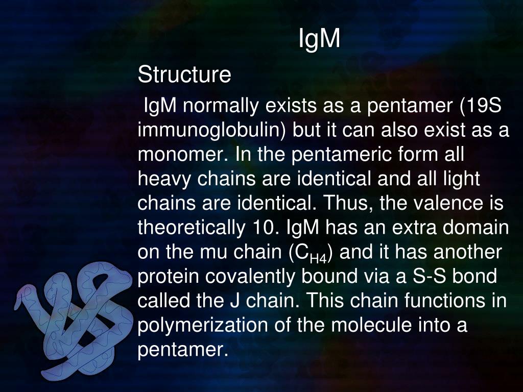 PPT - Immunoglobulin and Monoclonal antibodies PowerPoint Presentation ...