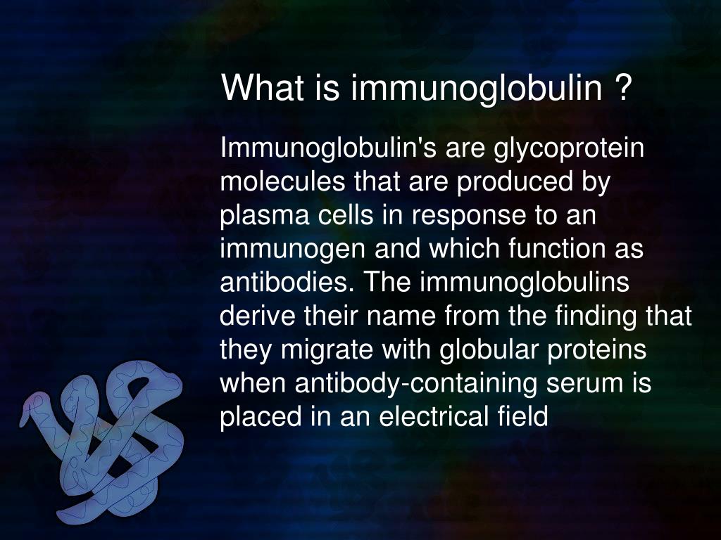 PPT - Immunoglobulin and Monoclonal antibodies PowerPoint Presentation ...