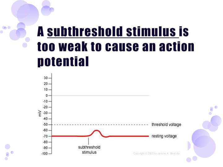 PPT - Neuromuscular Junctions PowerPoint Presentation - ID:1946870