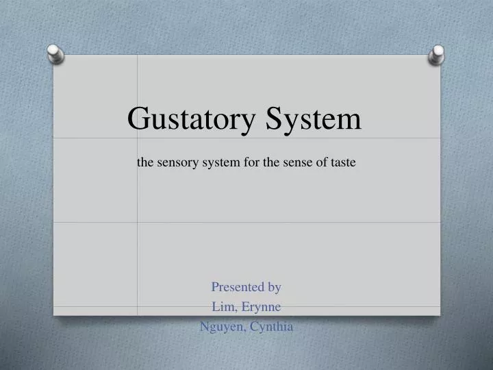 PPT - Gustatory System PowerPoint Presentation, free download - ID:1947078