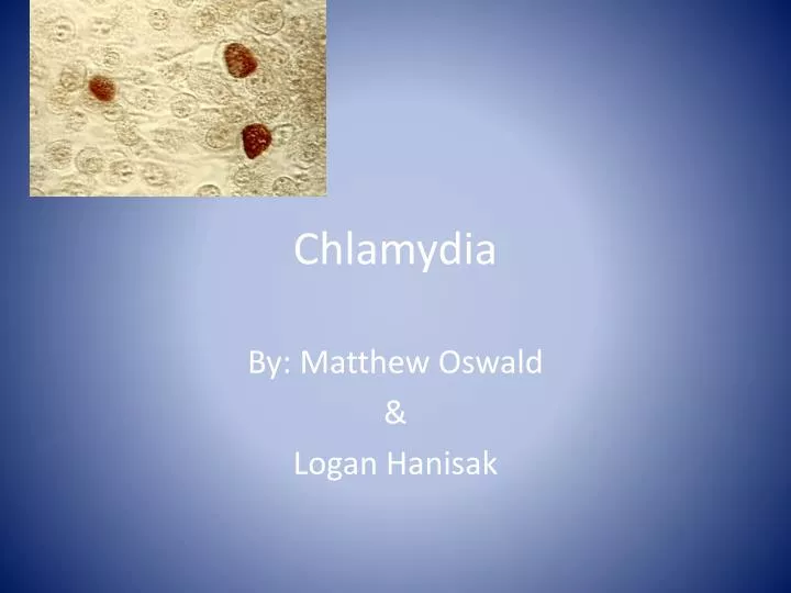PPT - Chlamydia PowerPoint Presentation, free download - ID:1947201