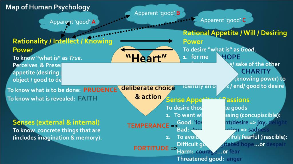 PPT - Map of Human Psychology PowerPoint Presentation, free download ...