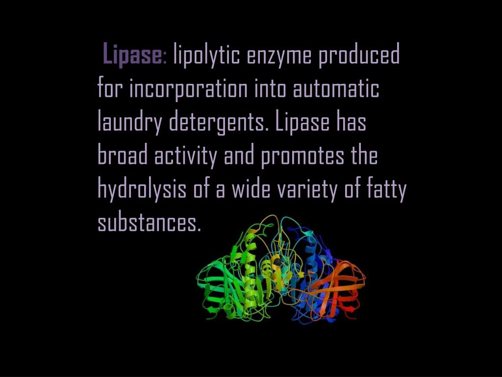 PPT - ENZYMES IN BIOLOGICAL WASHING POWDERS PowerPoint Presentation ...