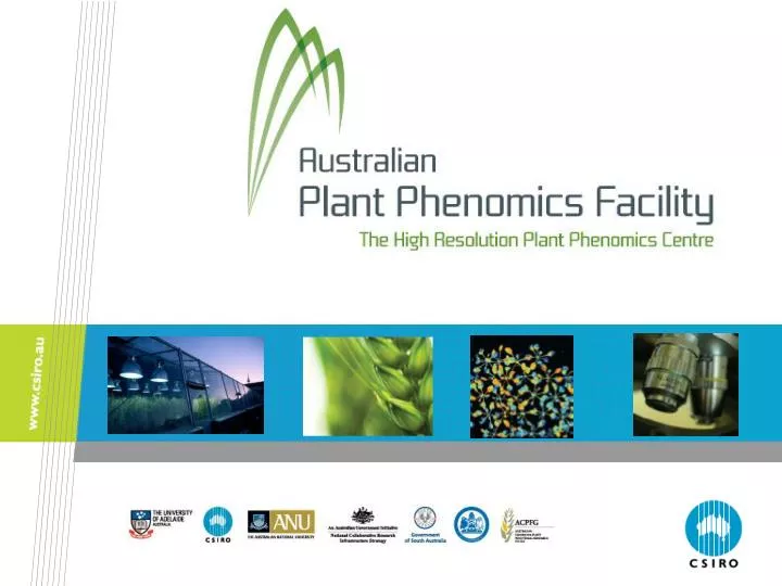 PPT - Plant phenomics PowerPoint Presentation, free download - ID:1947721