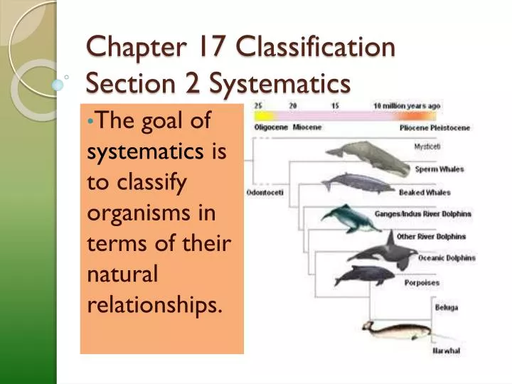 PPT - Chapter 17 Classification Section 2 Systematics PowerPoint ...