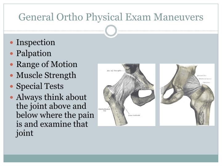 PPT - Lower Extremity H&P: Hip Exam PowerPoint Presentation - ID:1948288