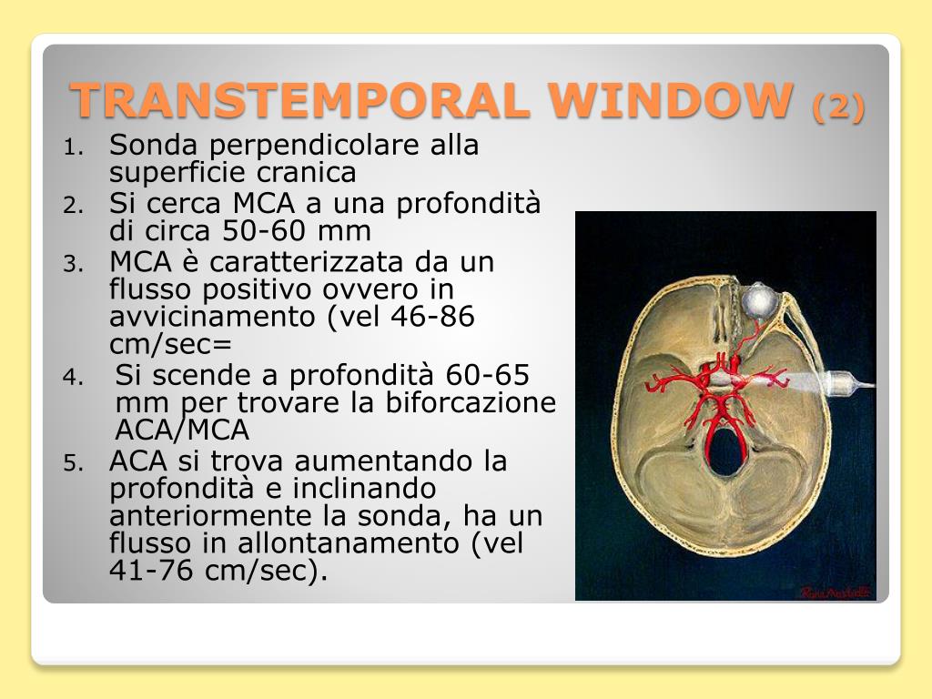 PPT - LA NEUROSONOLOGIA NELL’AMBITO DELLE NEUROSCIENZE: PowerPoint ...