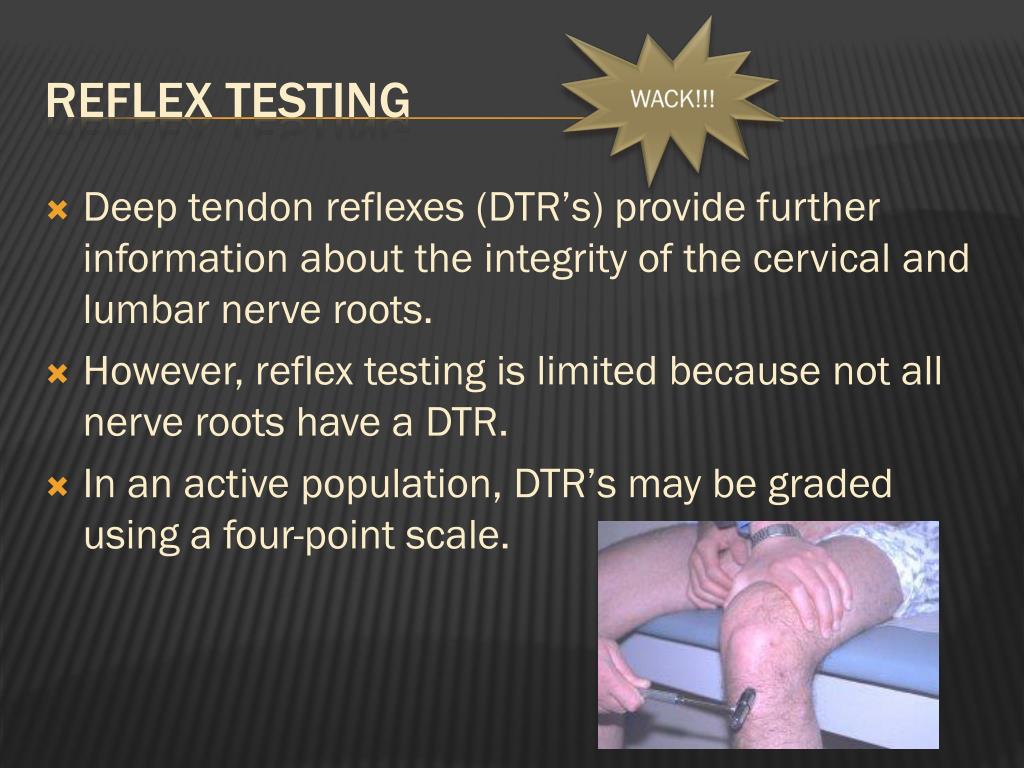 PPT - Injury evaluation ATTN: Sophomore Athletic Training Students ...