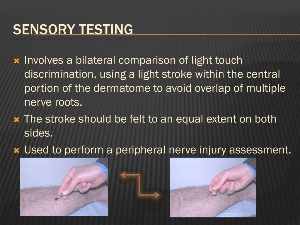 PPT - Injury evaluation ATTN: Sophomore Athletic Training Students ...