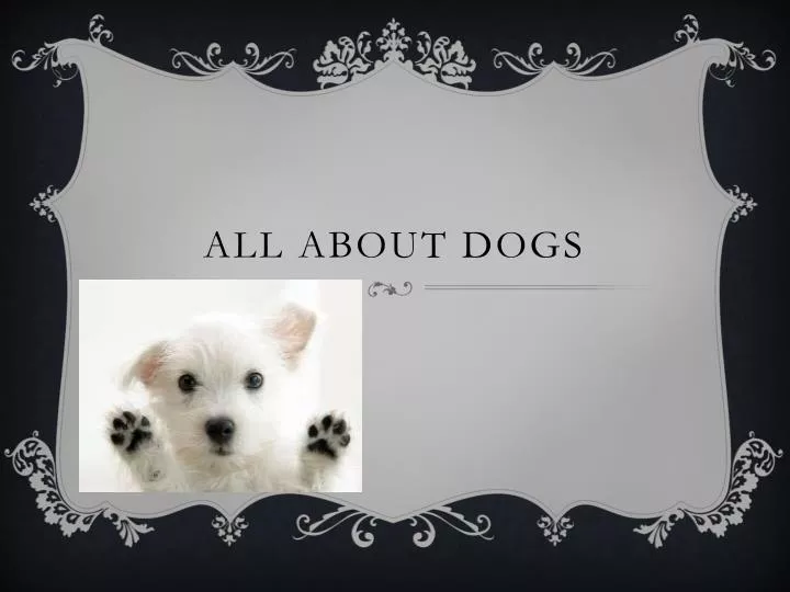 PPT - All About Dogs PowerPoint Presentation, free download - ID:1948875
