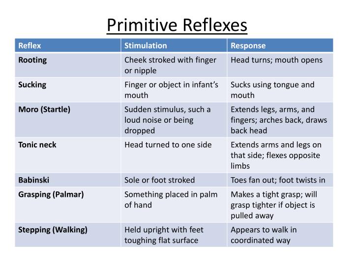PPT - Infant Development PowerPoint Presentation - ID:1949169