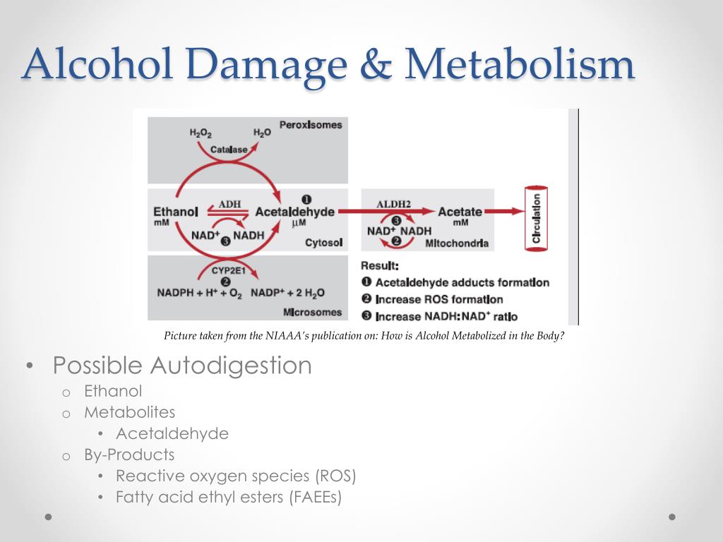 PPT - Nutritional Management of Acute Pancreatitis, in Patient with ...