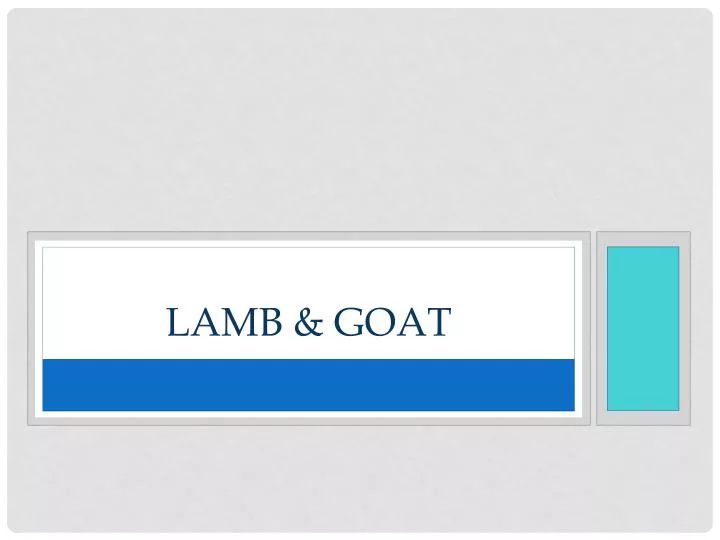 PPT - Lamb & Goat PowerPoint Presentation, free download - ID:1949620
