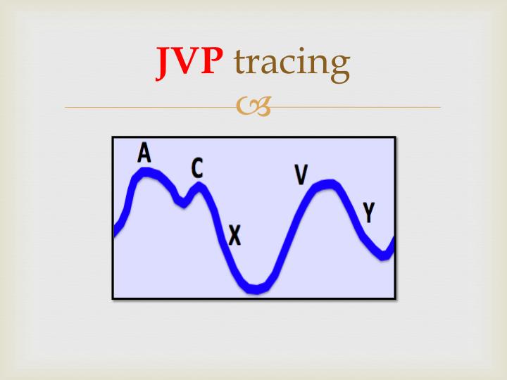 PPT - Jugular Venous Pulse and Carotid Arterial Pulse PowerPoint ...