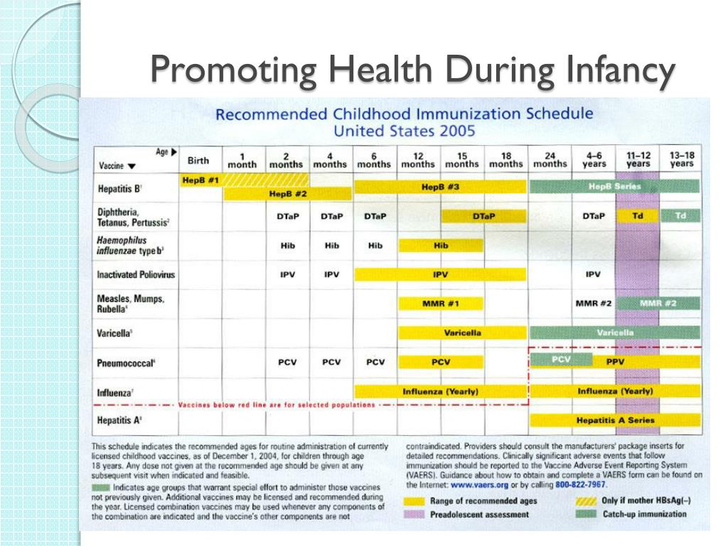 PPT - Ch 10: Health Promotion of the Infant and Family Ch 11: Health ...