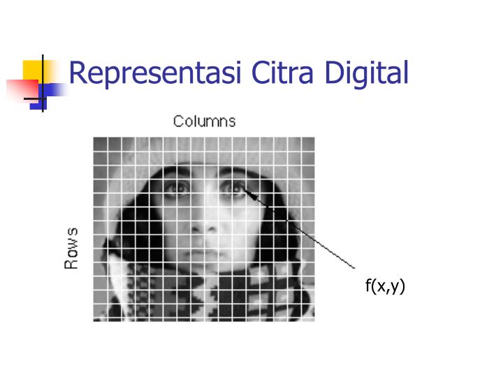 Penerapan Ilmu Aljabar Linear Matriks Dalam Merepresentasikan Citra ...