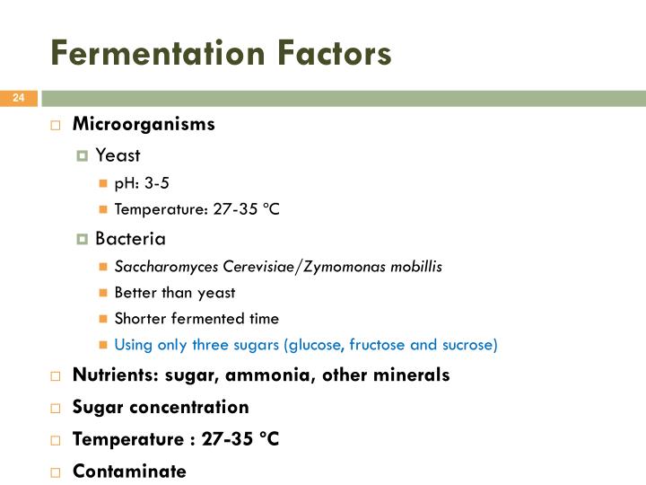 PPT - Ethanol Production PowerPoint Presentation - ID:1950415