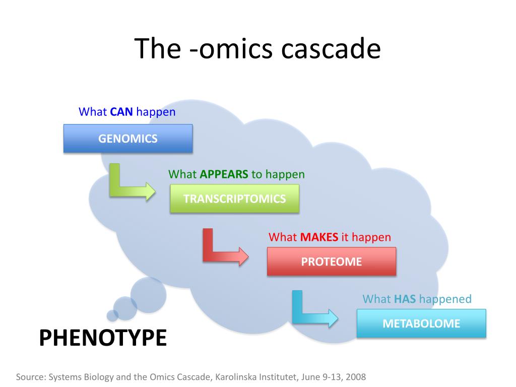 PPT - Designing an IT infrastructure for data-intensive collaborative ...