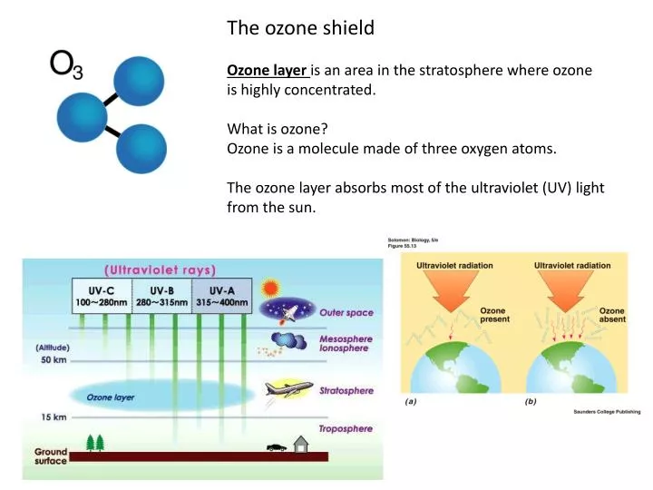 PPT - The ozone shield Ozone layer is an area in the stratosphere where ...