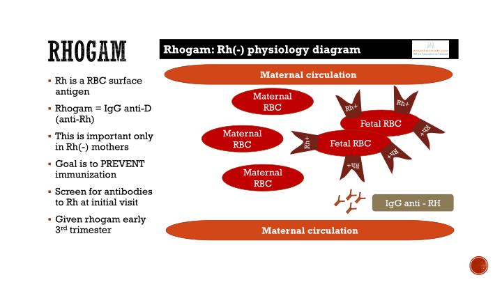 PPT - Pharmacology review – OBGYN rotation PowerPoint Presentation - ID ...