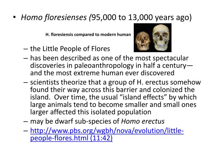 PPT - EARLY HOMINID EVOLUTION: PowerPoint Presentation - ID:1950930