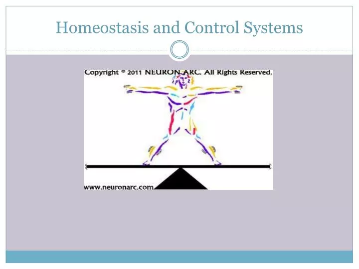 PPT - Homeostasis and Control Systems PowerPoint Presentation, free ...