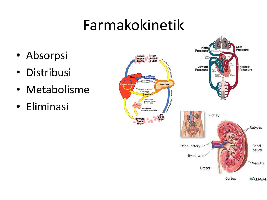 PPT - Konsep Farmakologi dan Patofisiologi PowerPoint Presentation ...