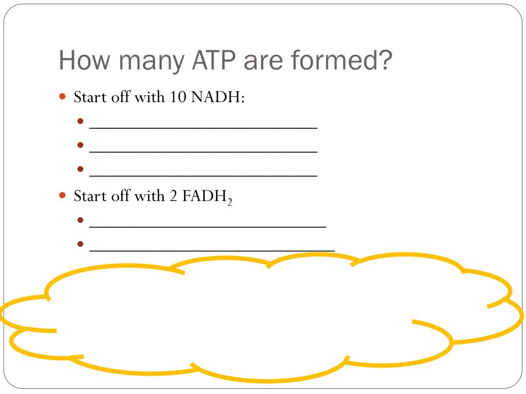 Ppt Electron Transport Chain Powerpoint Presentation Free Download