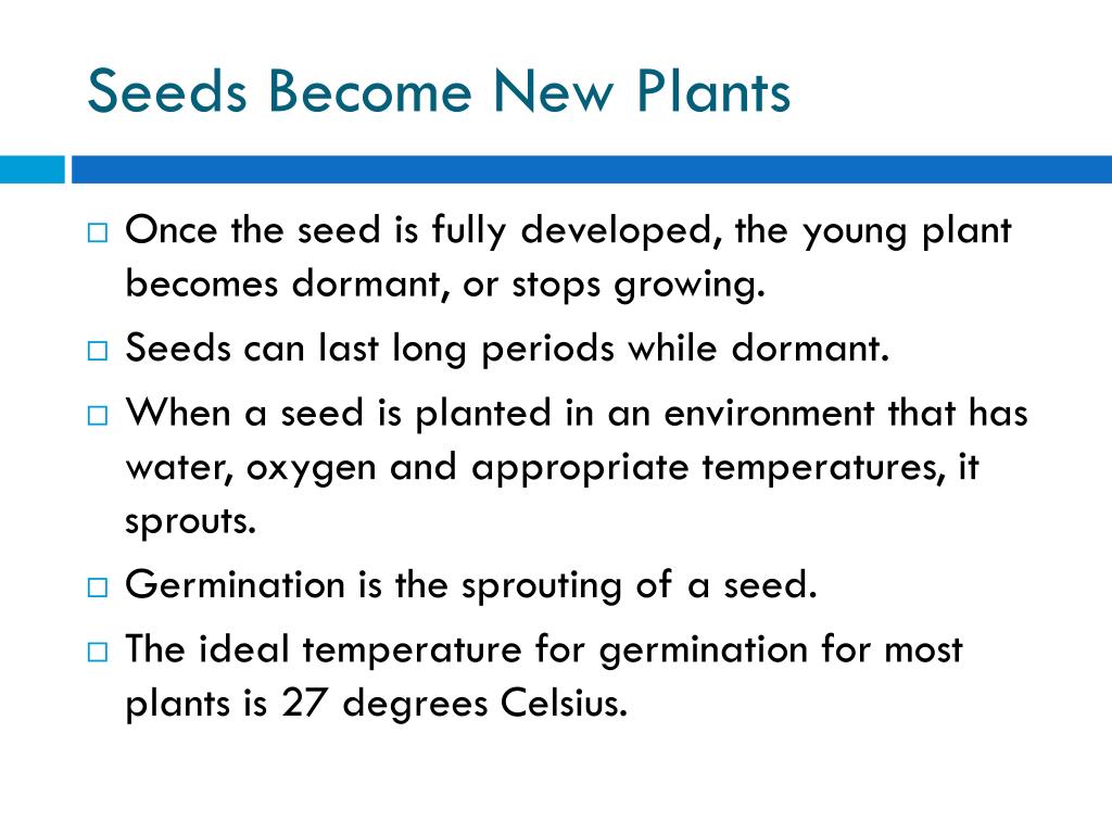 PPT - The Reproduction of Flowering Plants PowerPoint Presentation ...
