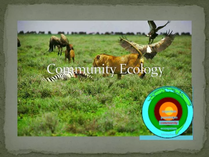 PPT - Community Ecology PowerPoint Presentation, free download - ID:1951651