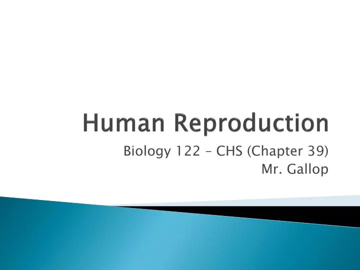 PPT - Human Reproduction PowerPoint Presentation, free download - ID ...