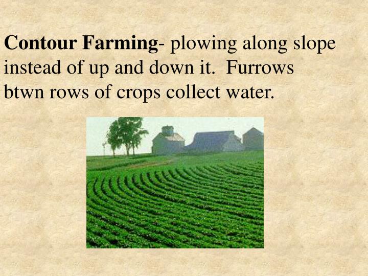 PPT - SOIL PowerPoint Presentation - ID:1951676