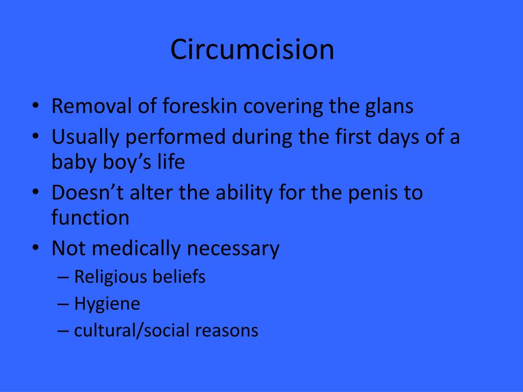 PPT - Male and Female Reproductive Systems PowerPoint Presentation ...