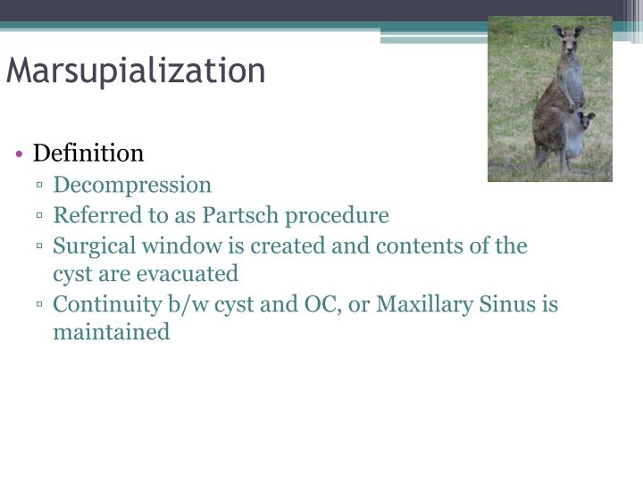 PPT - Principles of Differential diagnosis and BIOPSY PowerPoint ...