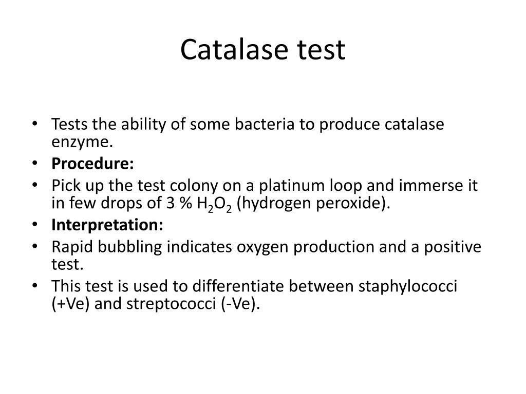 PPT - Biochemical Characterization of Bacteria PowerPoint Presentation ... PPT - Biochemical Characterization of Bacteria PowerPoint Presentation ...