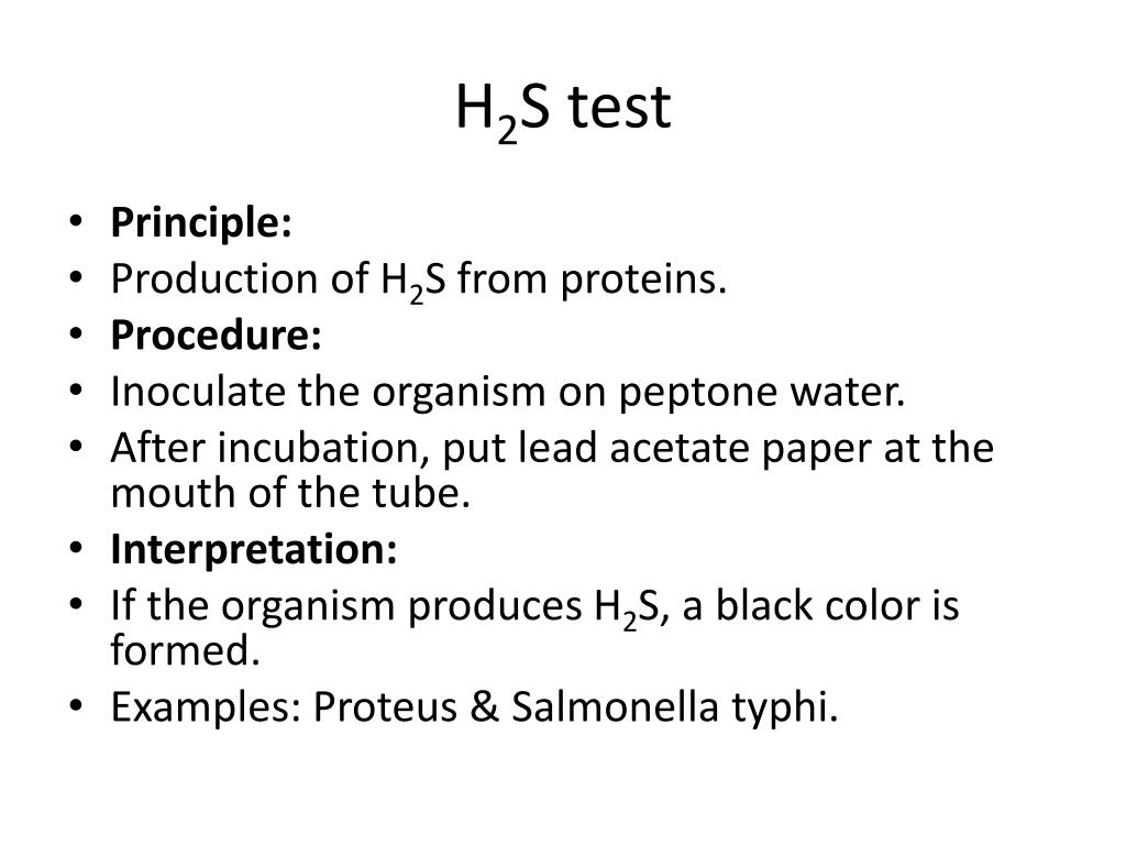 PPT - Biochemical Characterization of Bacteria PowerPoint Presentation ... PPT - Biochemical Characterization of Bacteria PowerPoint Presentation ...