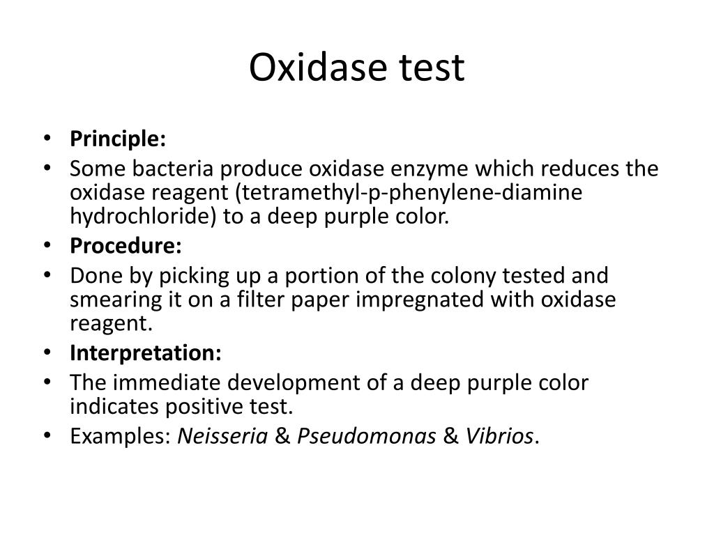 PPT - Biochemical Characterization of Bacteria PowerPoint Presentation ... PPT - Biochemical Characterization of Bacteria PowerPoint Presentation ...