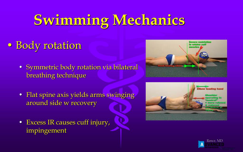 PPT - Steve Reece, MD Moose Herring, MD Sports Medicine Division ...