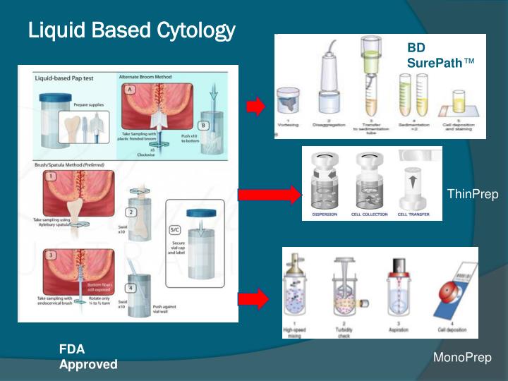 PPT - Cervical Cancer Screening Modalities PowerPoint Presentation - ID ...