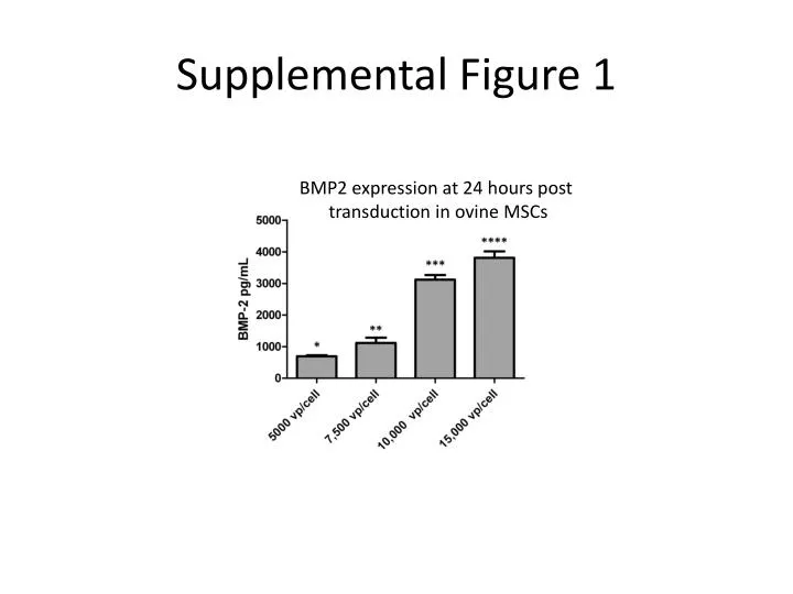 PPT - Supplemental Figure 1 PowerPoint Presentation, free download - ID ...