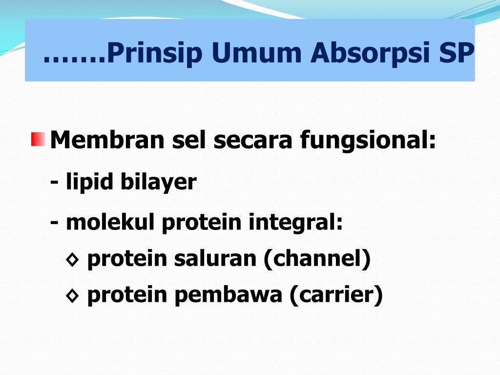 PPT - FUNGSI SEKRESI, ABSORBSI, DAN EKSKRESI SISTEM PENCERNAAN ...